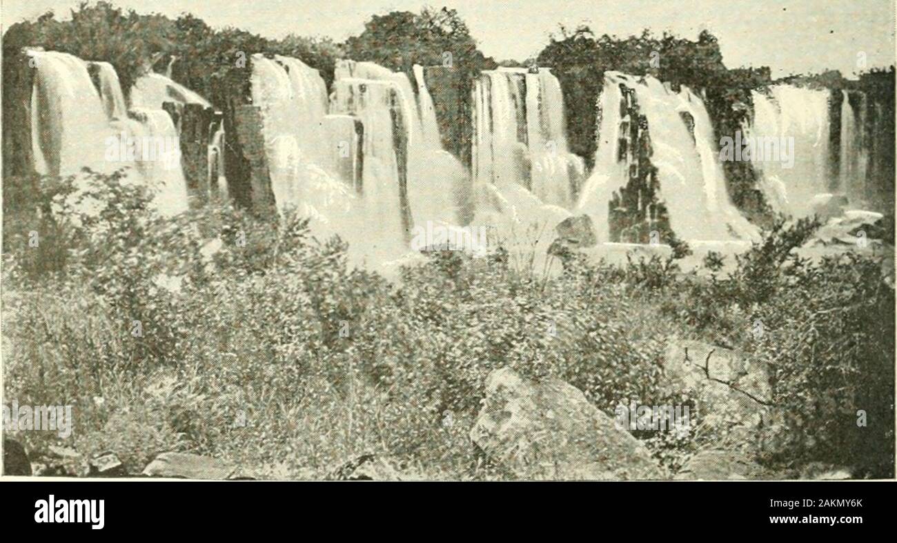 Pinetown hi-res stock photography and images - Alamy