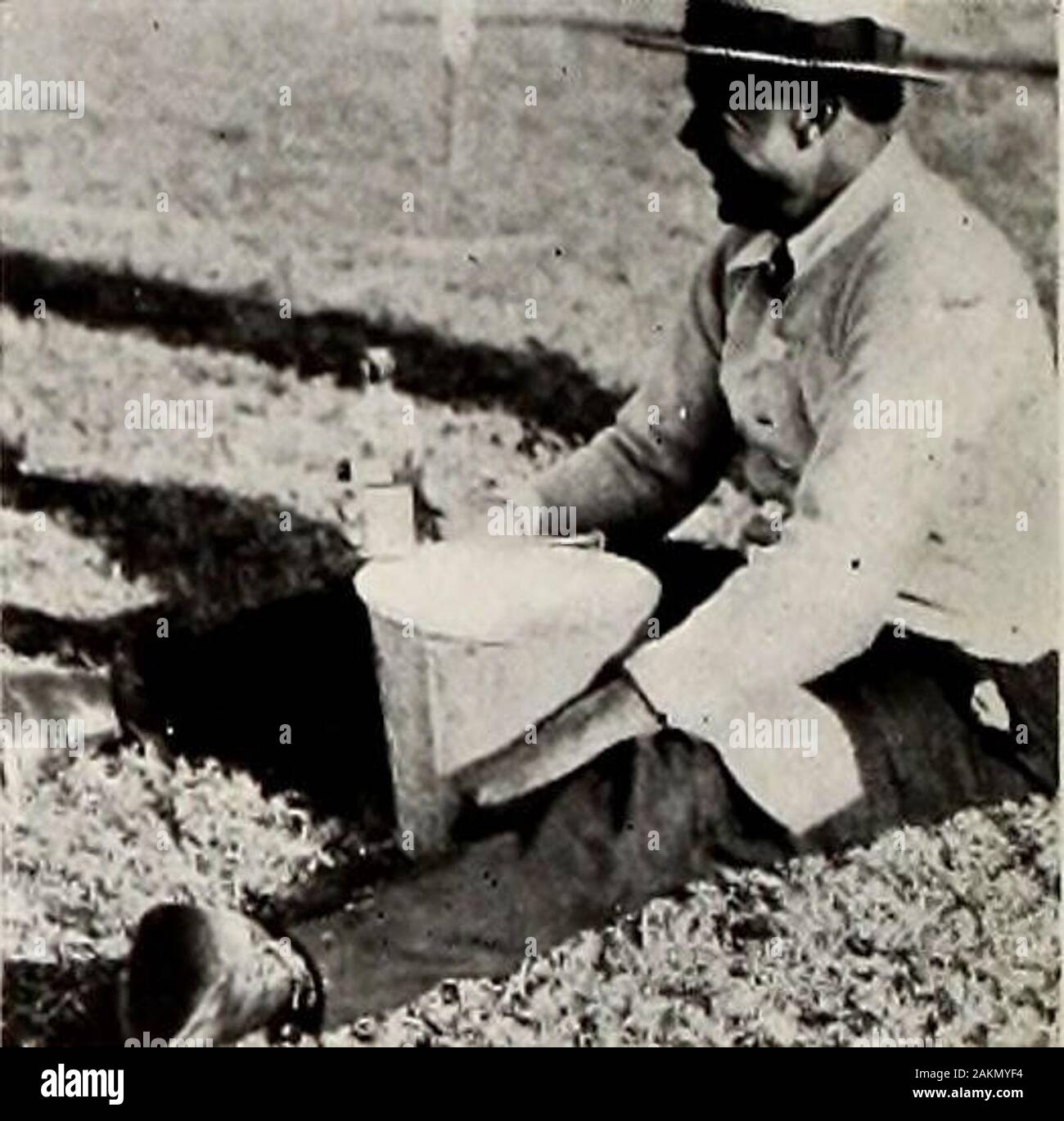 Liniments hi-res stock photography and images - Alamy