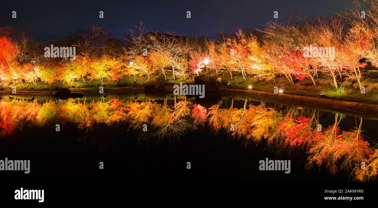 Autumn Leaves in night time with reflection Stock Photo - Alamy