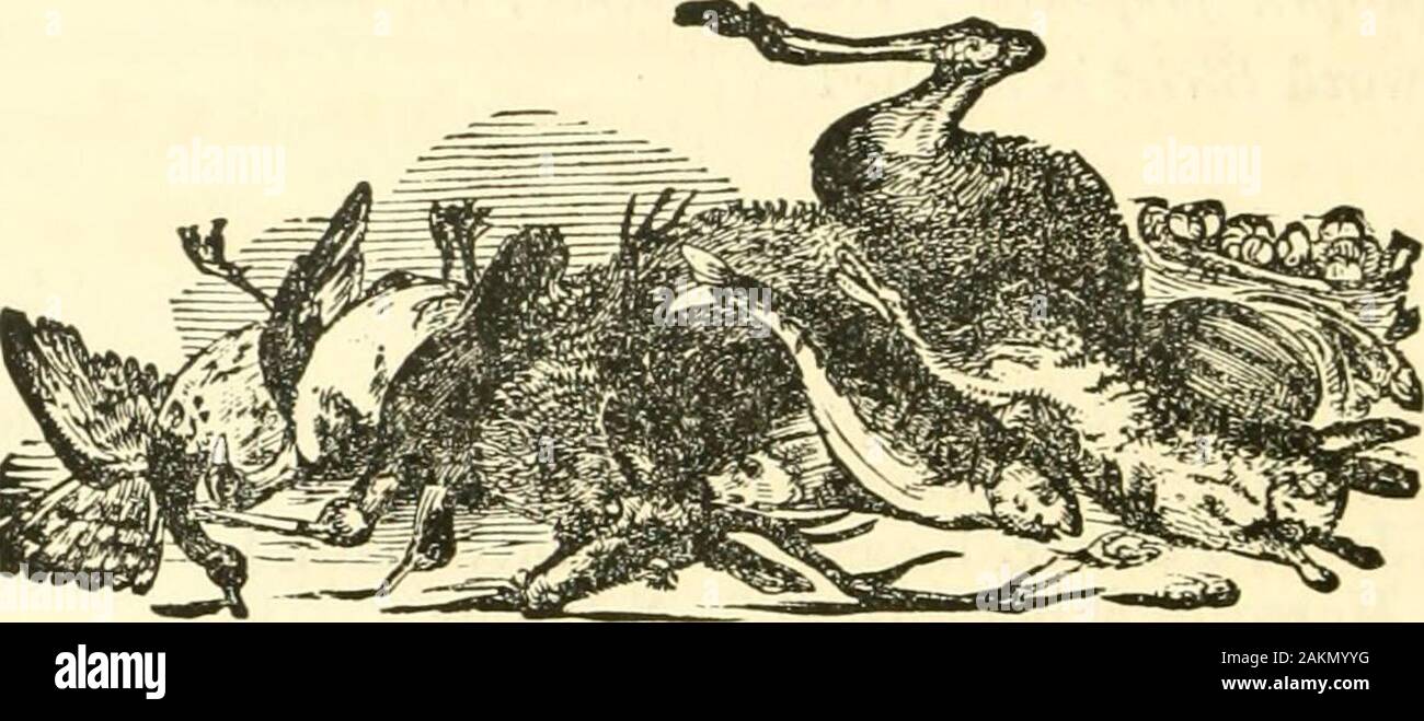 Joseph alexander adams hi-res stock photography and images - Alamy