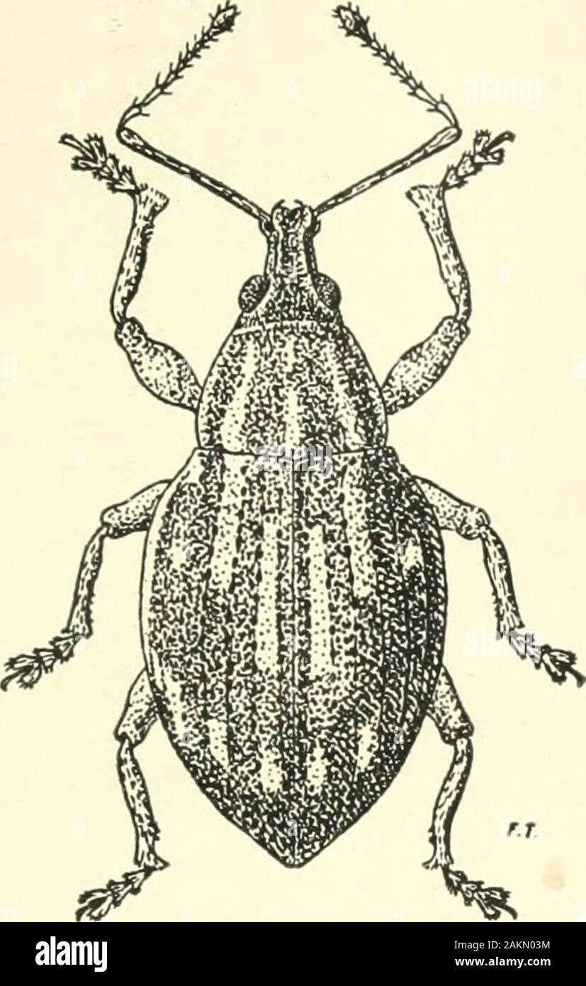 The Annals and magazine of natural history; zoology, botany, and ...