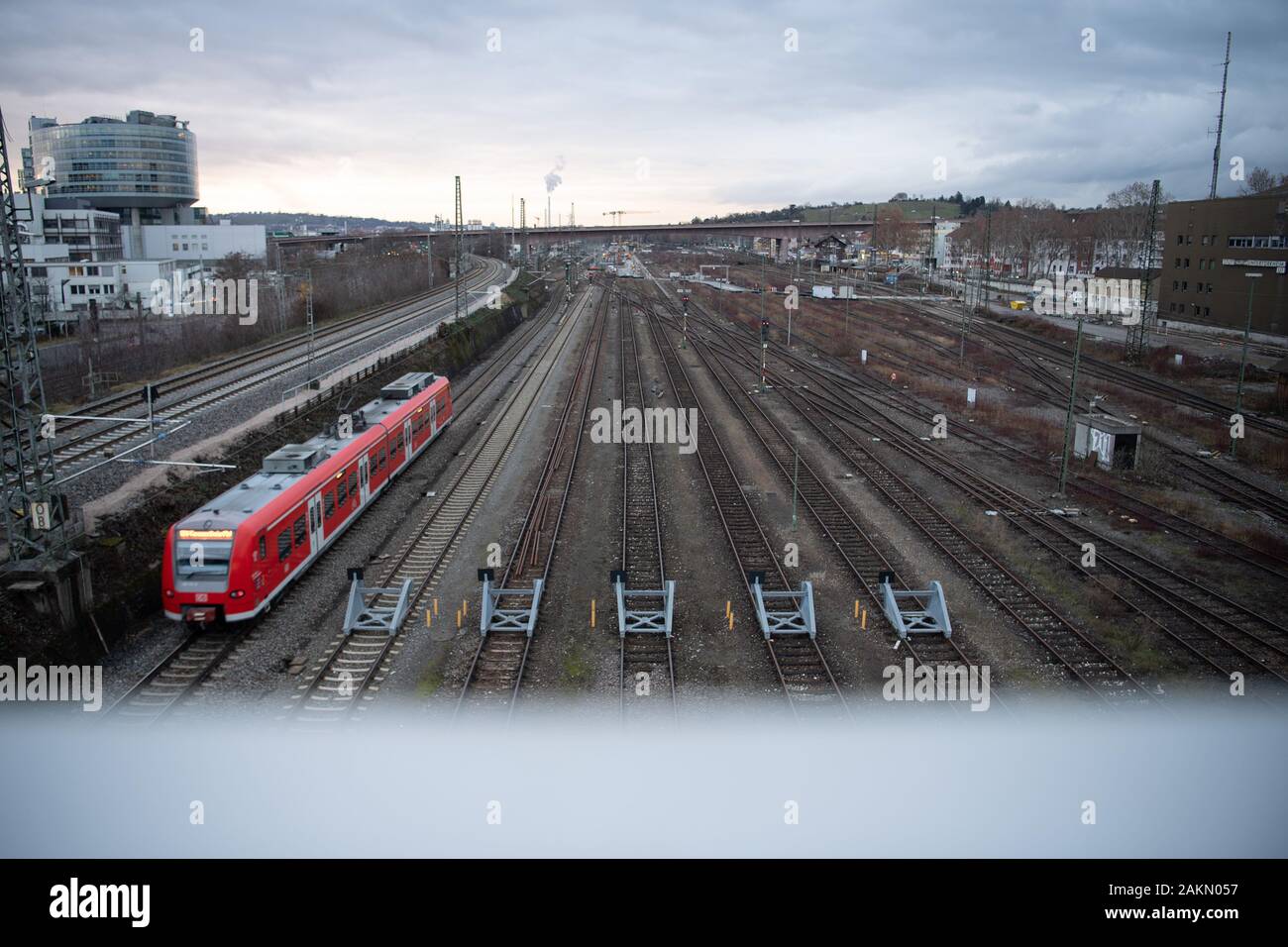 Rail lizard hi-res stock photography and images - Alamy