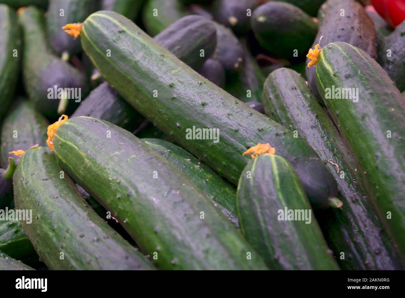 Cucumbers store hi-res stock photography and images - Alamy