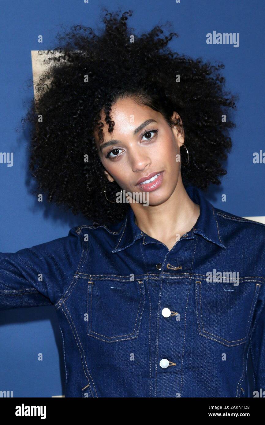 Pasadena, CA. 9th Jan, 2020. Stefani Robinson at arrivals for FX ...