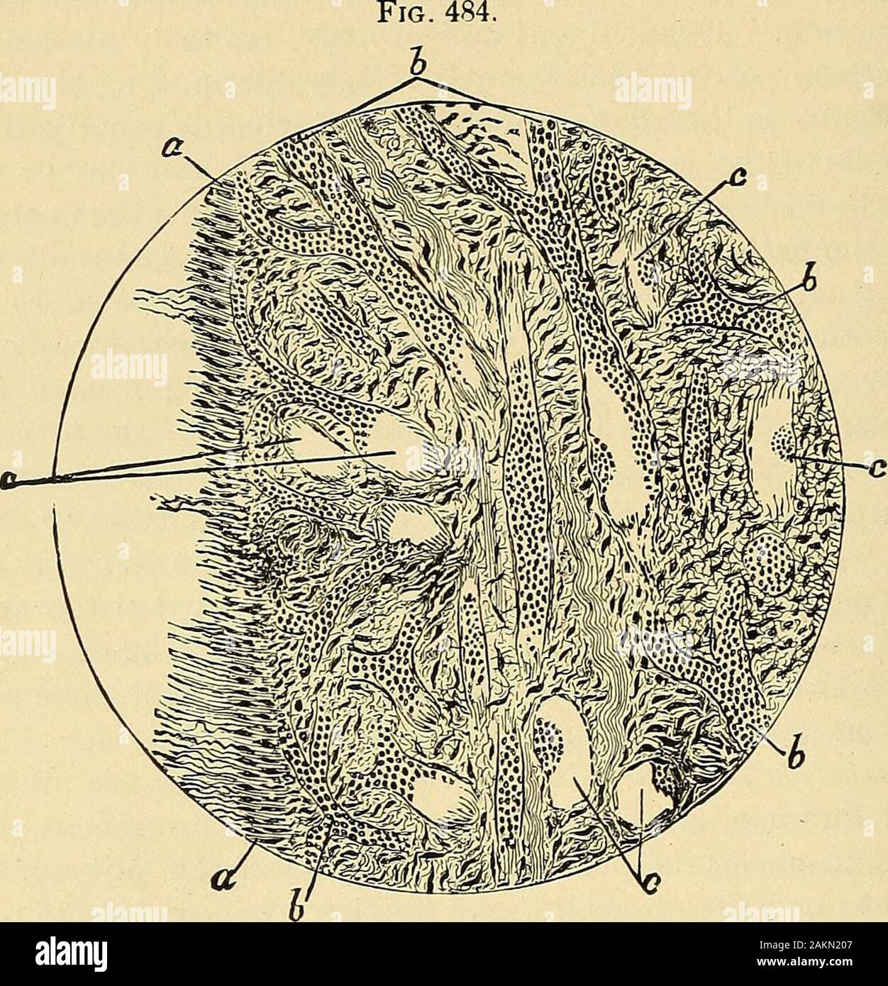 Principles and practice of operative dentistry . thods will renderthe ...