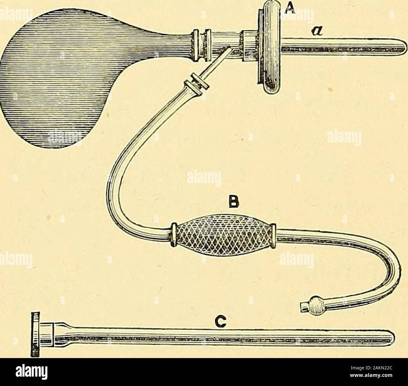 Faeces colon hi-res stock photography and images - Alamy