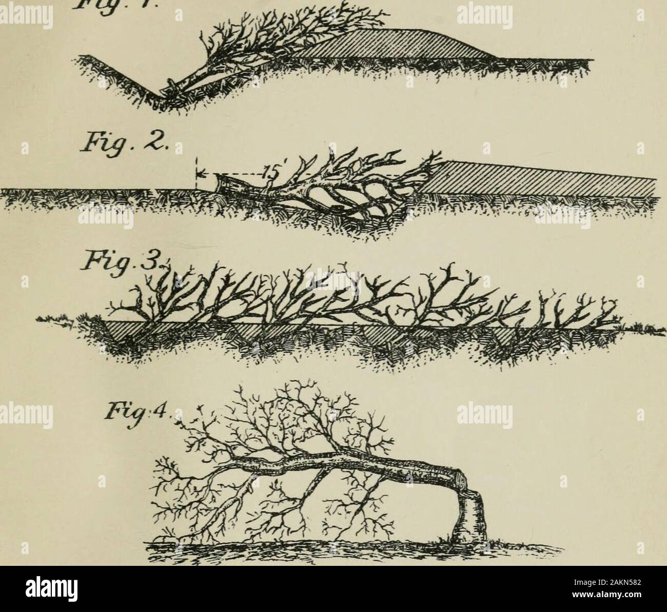 W 1 31 18 hi-res stock photography and images - Alamy