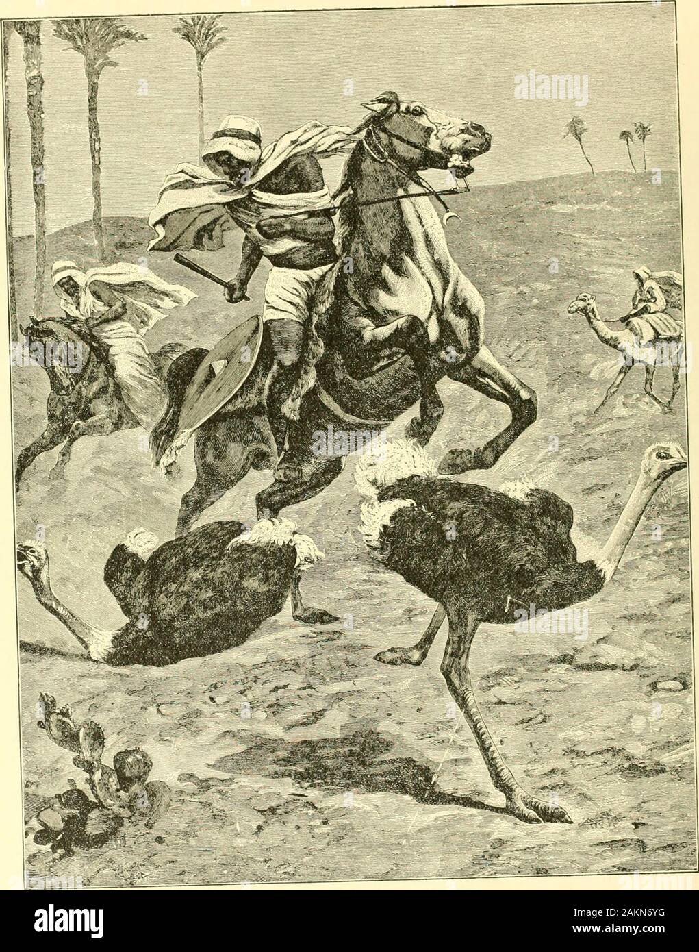 Enemy combatants hi-res stock photography and images - Alamy