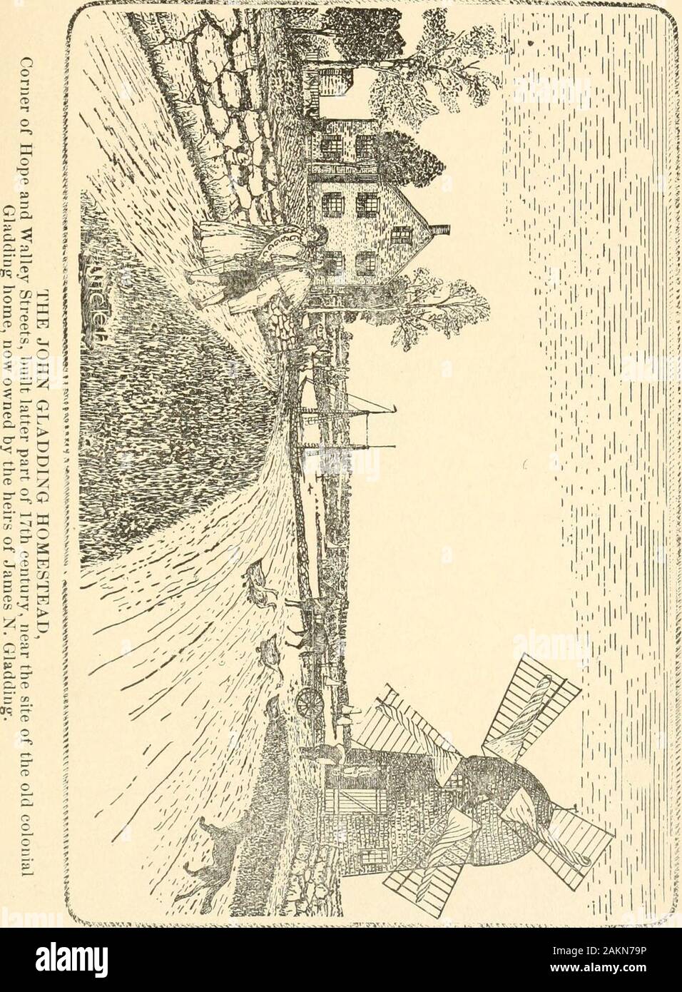 Ancestral chart hi-res stock photography and images - Alamy