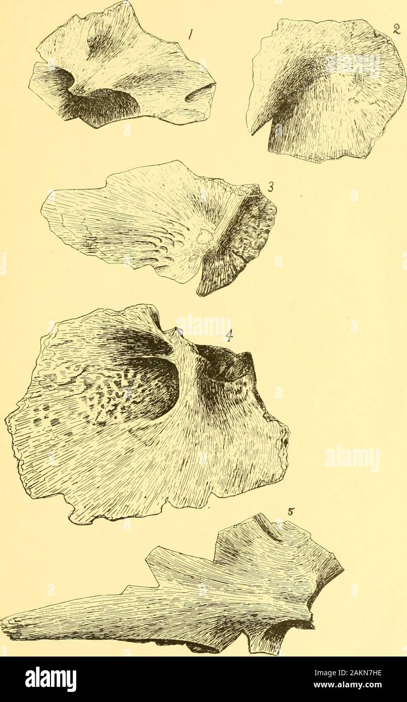 Barber county map hi-res stock photography and images - Alamy
