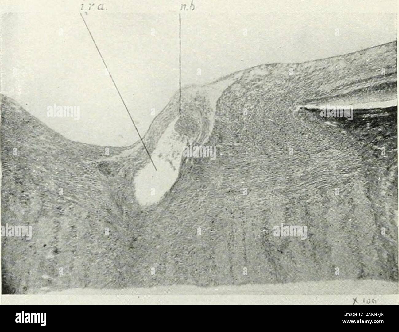 Mters hi-res stock photography and images - Alamy