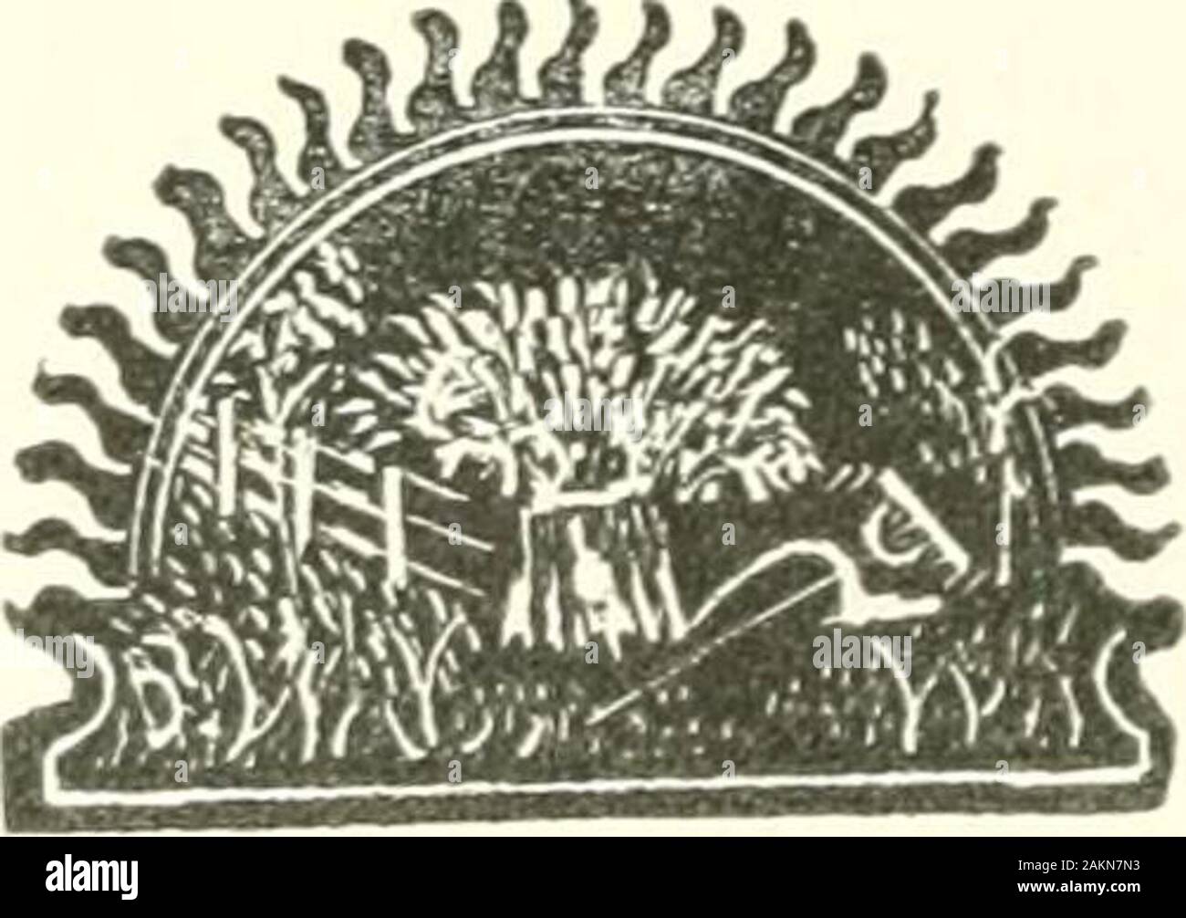 Ancestral chart hi-res stock photography and images - Alamy