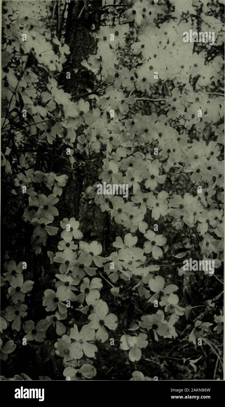 Definite article hi-res stock photography and images - Alamy