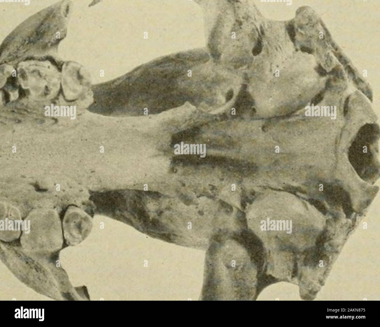 Maria madre island mexico hi-res stock photography and images - Alamy