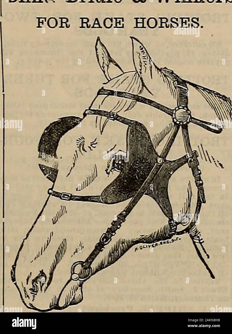 Breeder and sportsman . , by Elmo, dam by McCrackens BlackHawk. Orionis ...