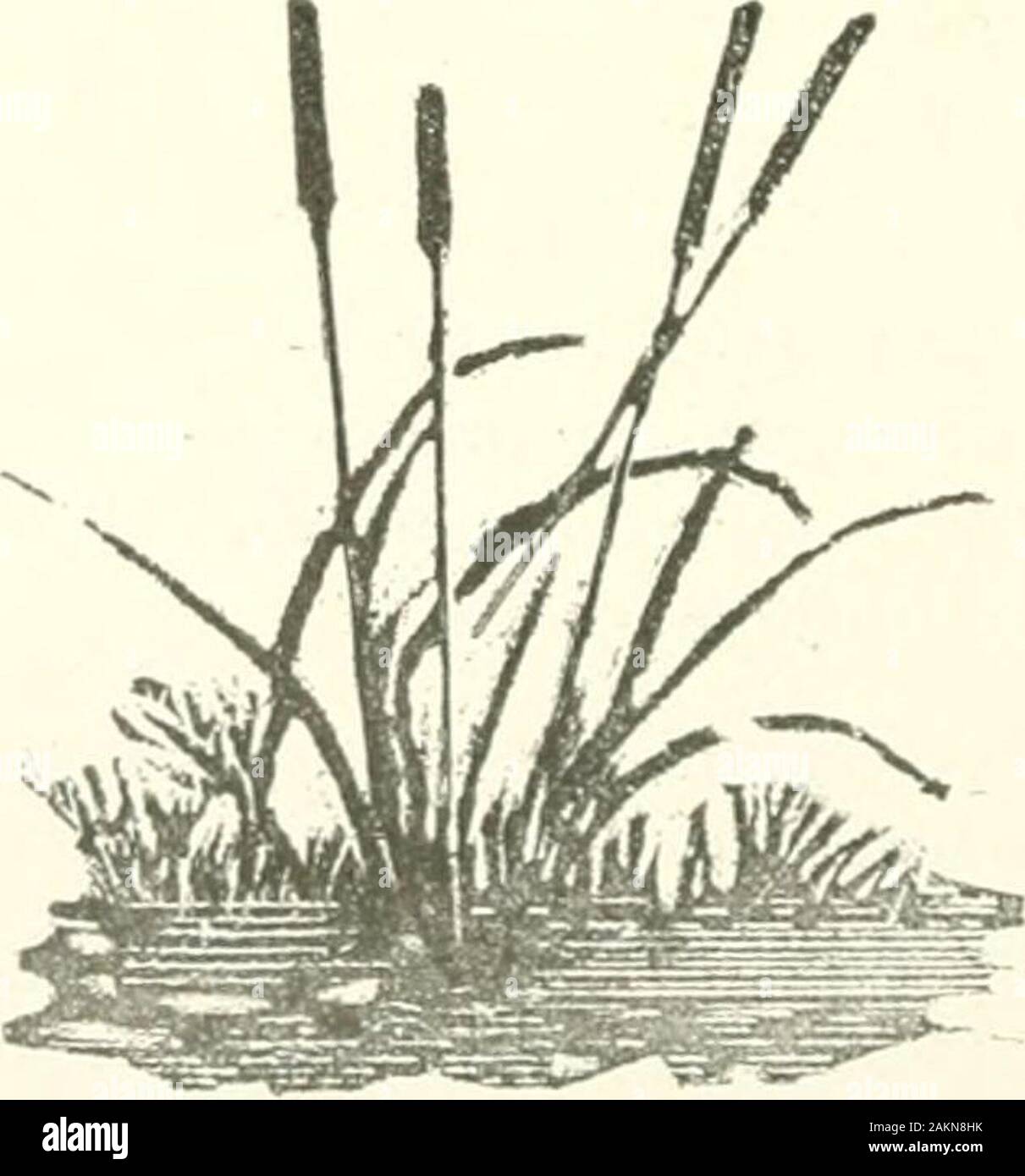 The Gladding book: being an historical record and genealogical chart of ...