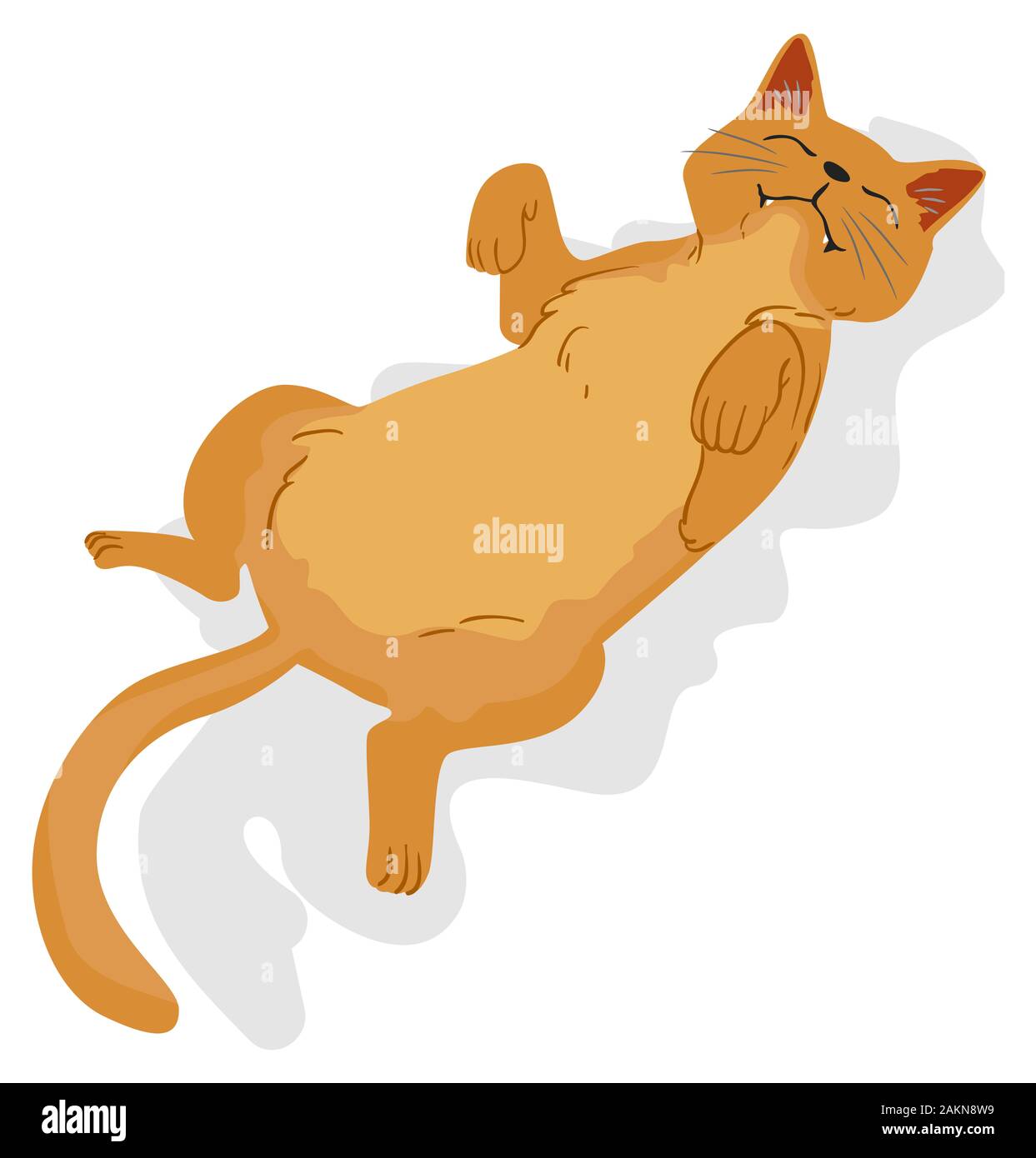 Belly rub Cut Out Stock Images & Pictures - Alamy