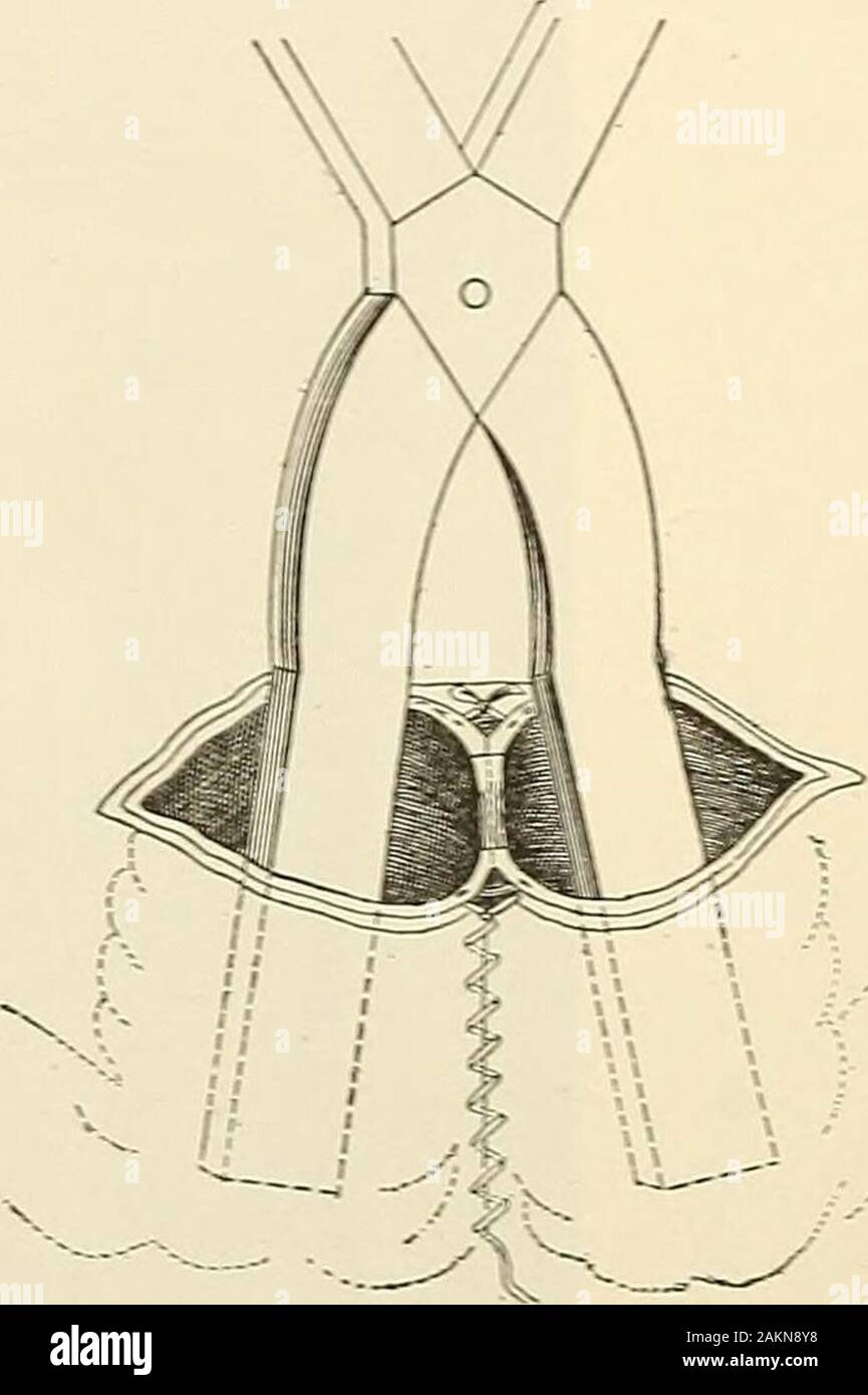 Fig 723 hi-res stock photography and images - Alamy