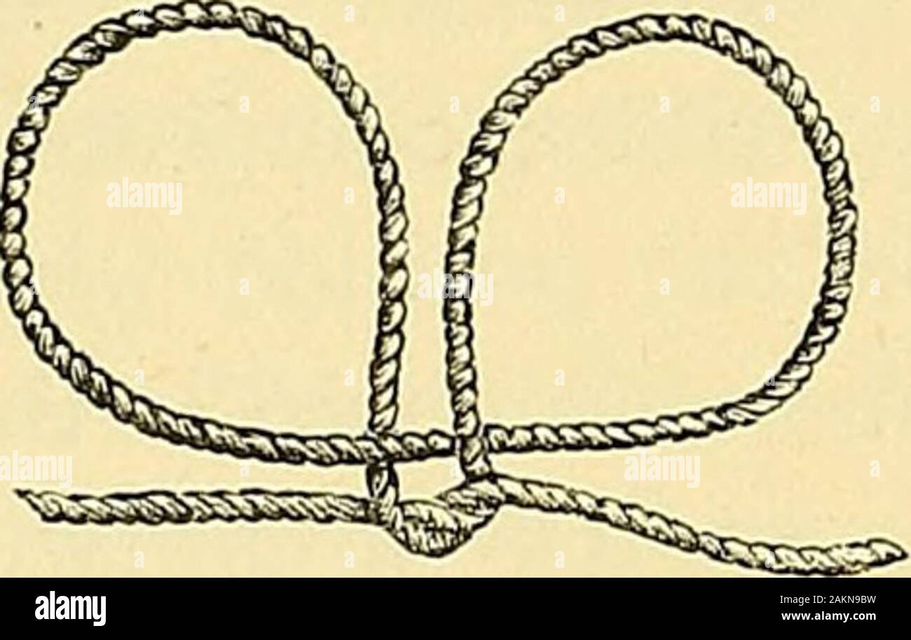 Abdominal surgery . in the position whichthey naturally assume, and ...