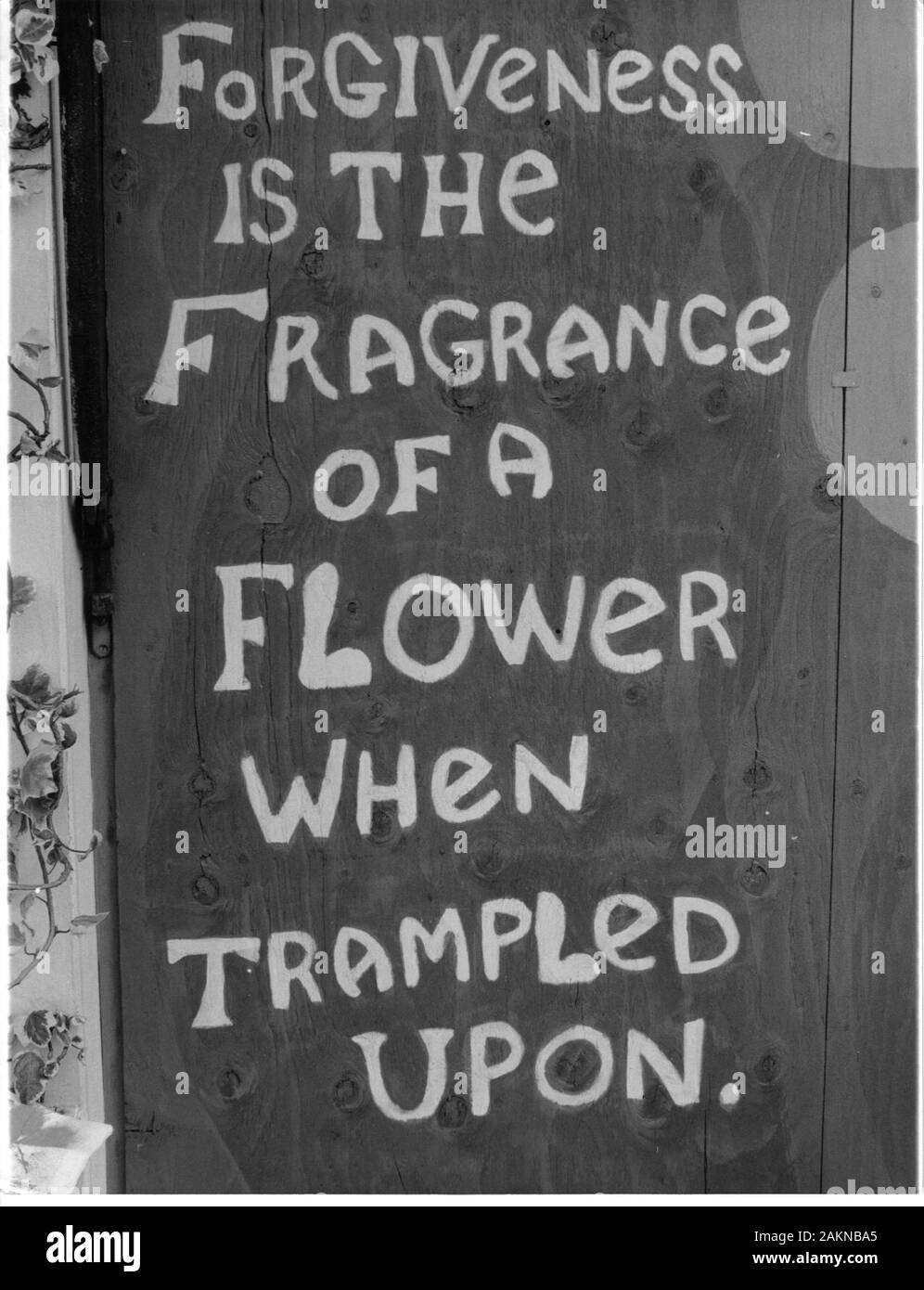 Berkeley protest 1960s hi-res stock photography and images - Alamy