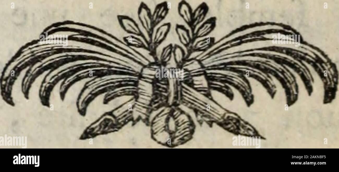 Fluides iv hi-res stock photography and images - Alamy