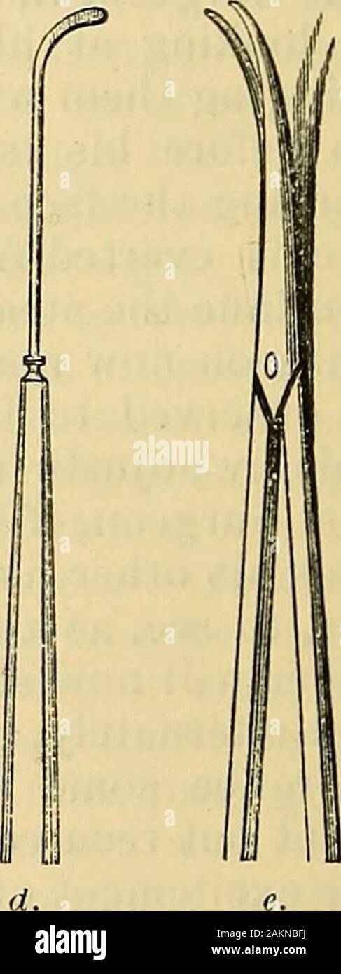 Toothed forceps hi-res stock photography and images - Alamy