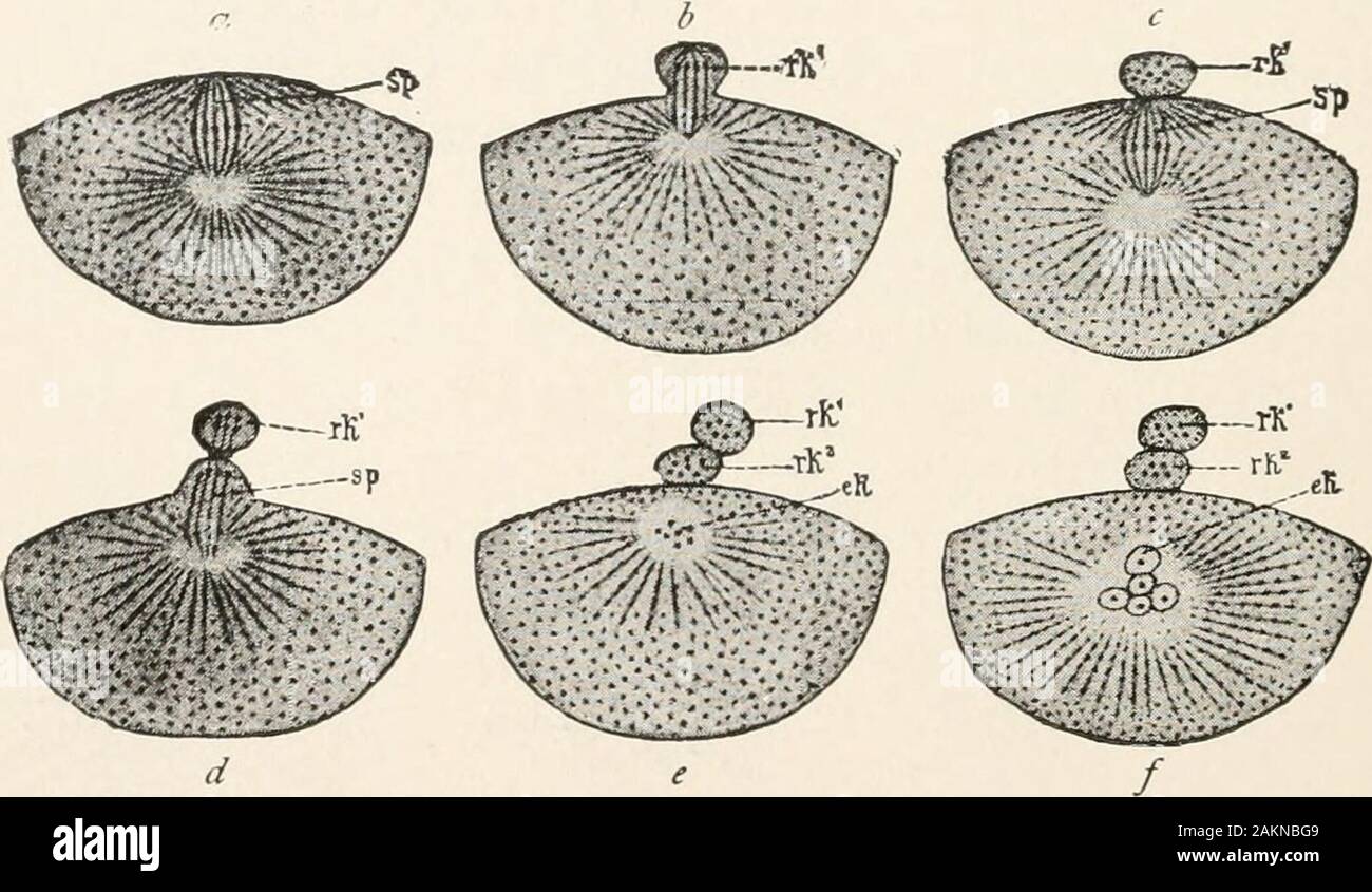 Vesi hi-res stock photography and images - Alamy