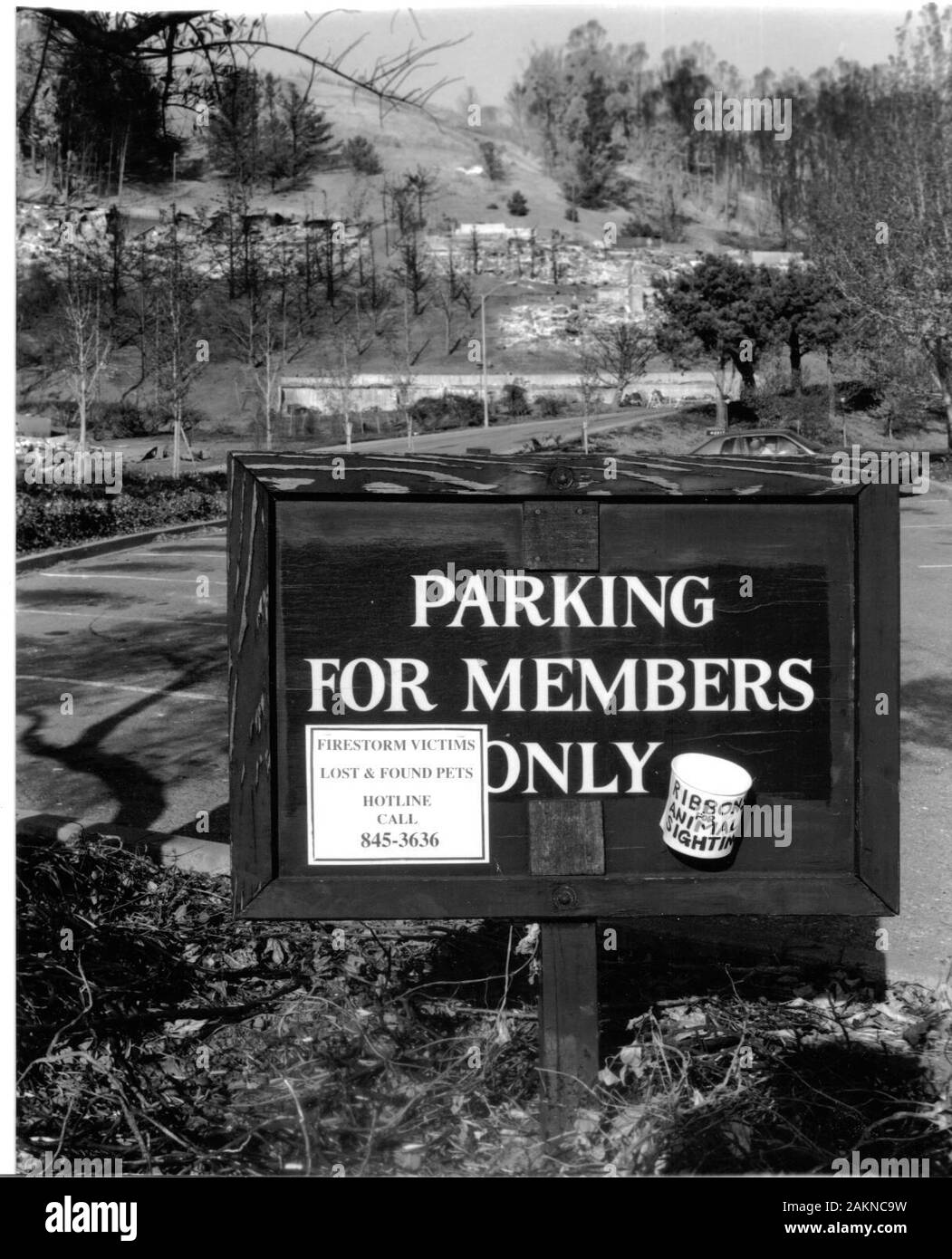 Berkeley protest 1960s hi-res stock photography and images - Alamy