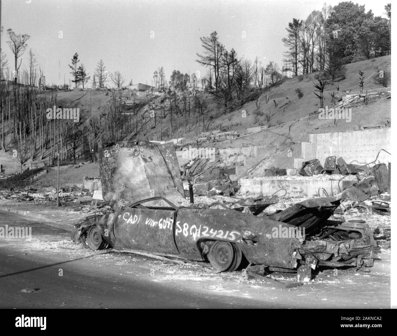 Berkeley protest Black and White Stock Photos & Images - Alamy