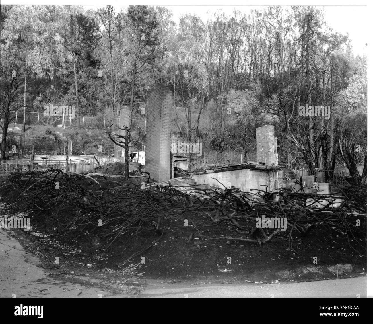 60s Berkeley, San Francisco Riots,1960s Stock Photo - Alamy