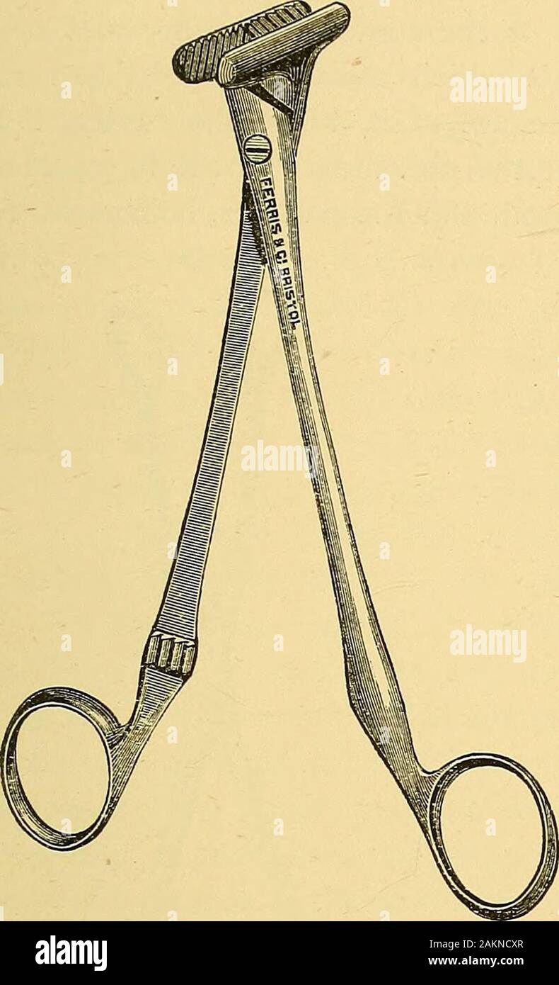 Right angle forceps hi-res stock photography and images - Alamy