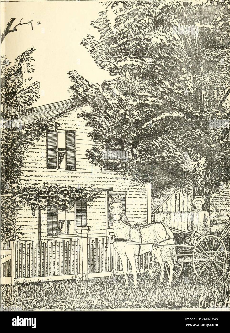 Ancestral chart hi-res stock photography and images - Alamy