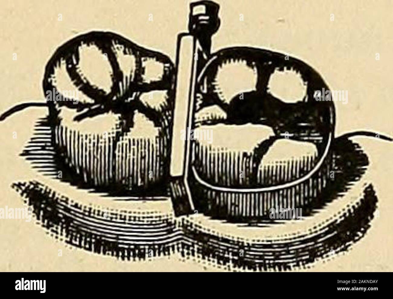 Principles and practice of operative dentistry Stock Photo - Alamy