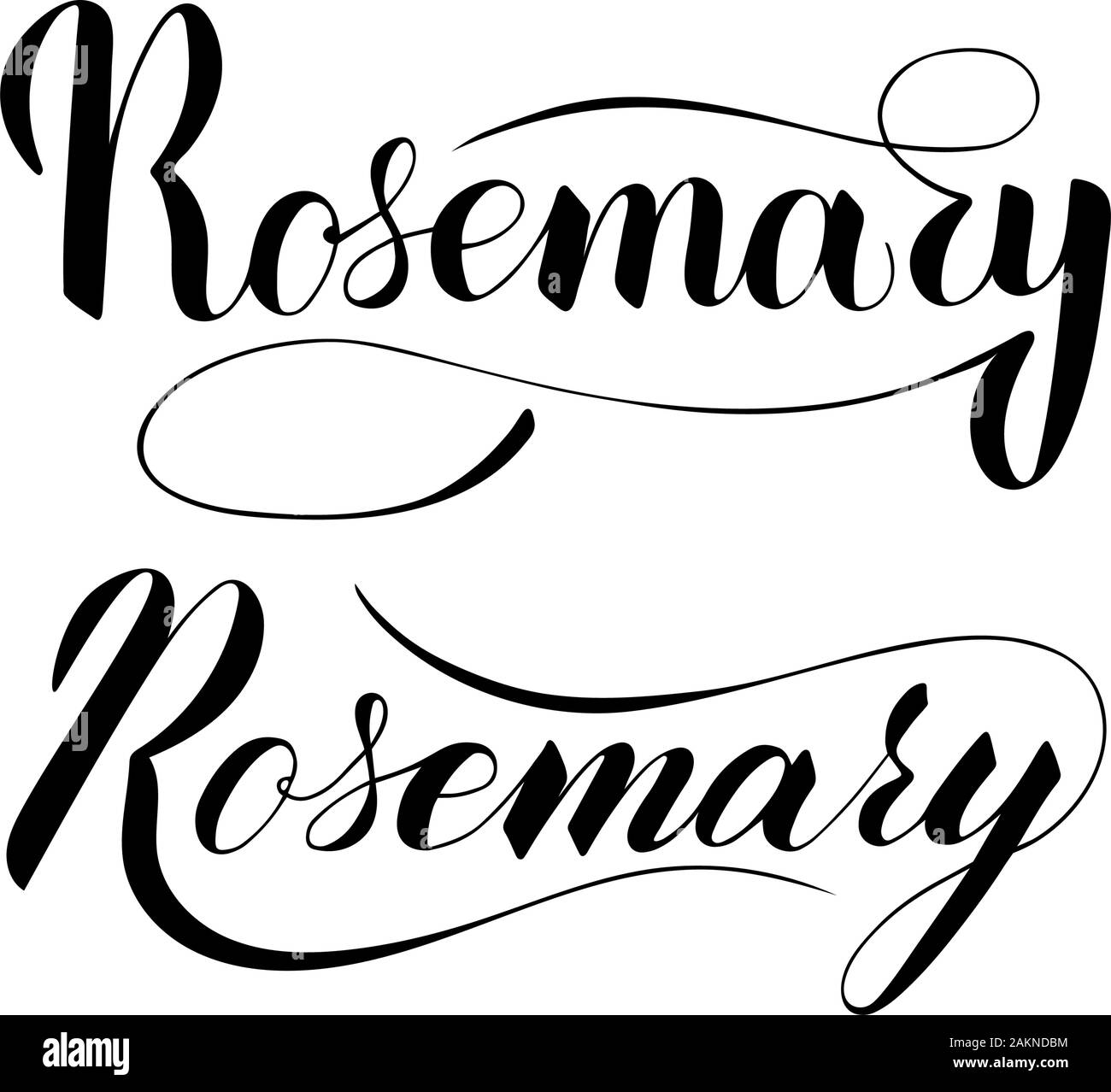 Vector hand written rosemary text isolated on white background. Kitchen ...