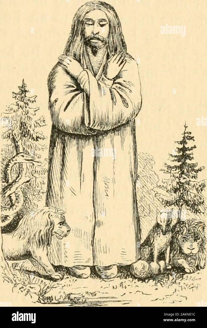 ñu plural hi-res stock photography and images - Alamy