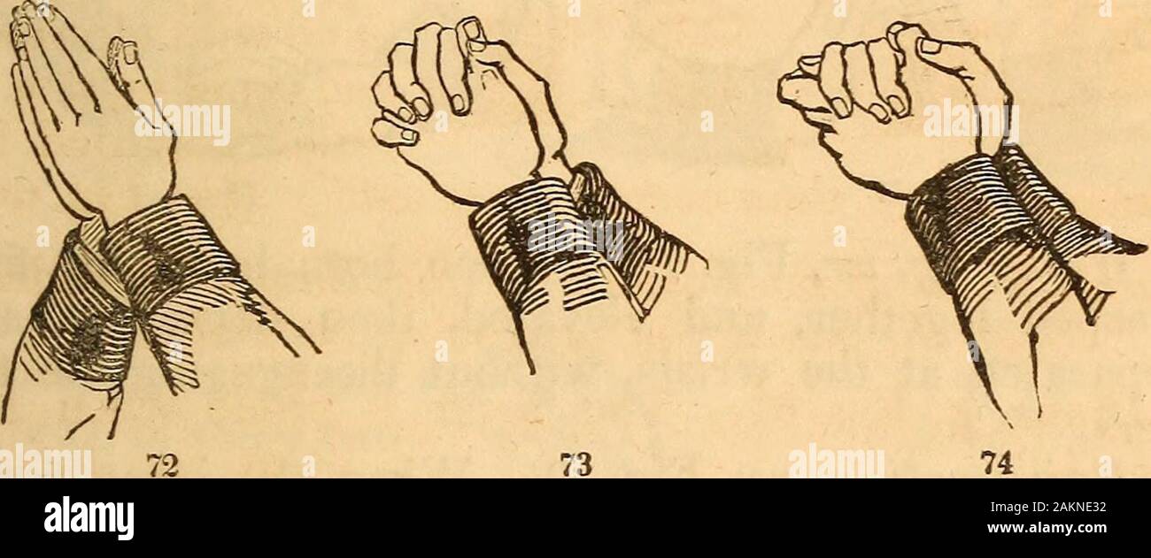 A system of elocution, with special reference to gesture, to the ...