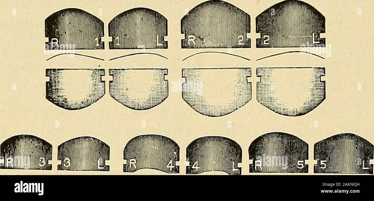 Thematrix hi-res stock photography and images - Alamy