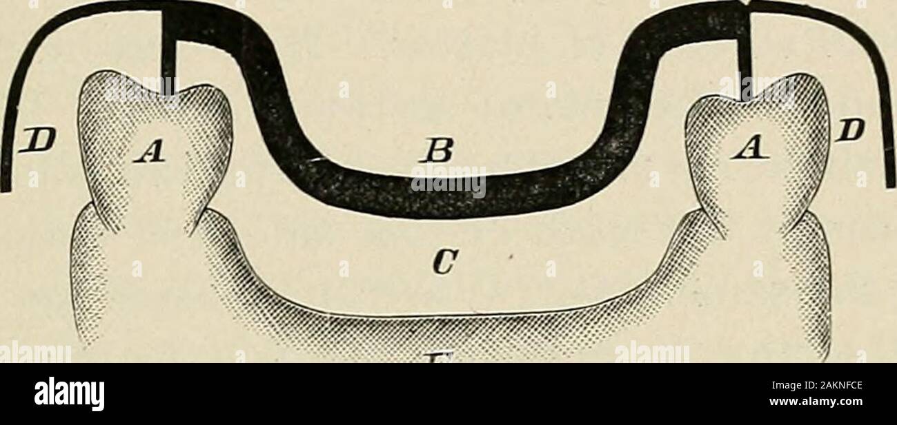 Notched sections hi-res stock photography and images - Alamy