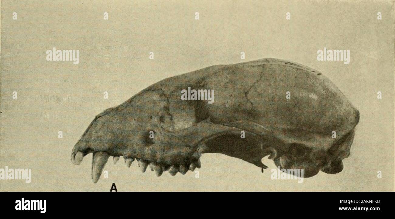 Maria madre island mexico hi-res stock photography and images - Alamy