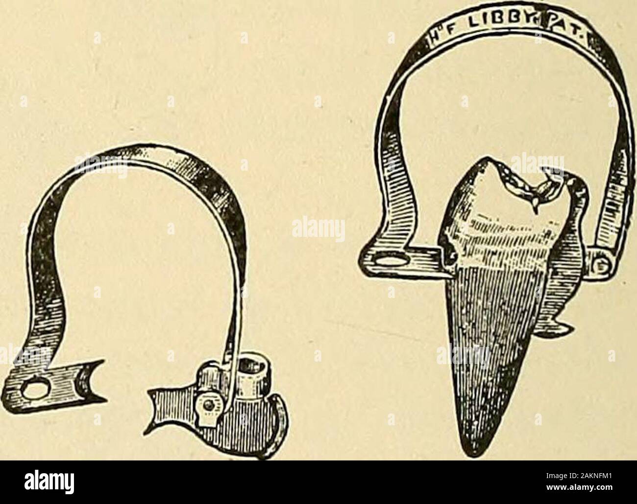 Principles and practice of operative dentistry . How cervix clamp ...