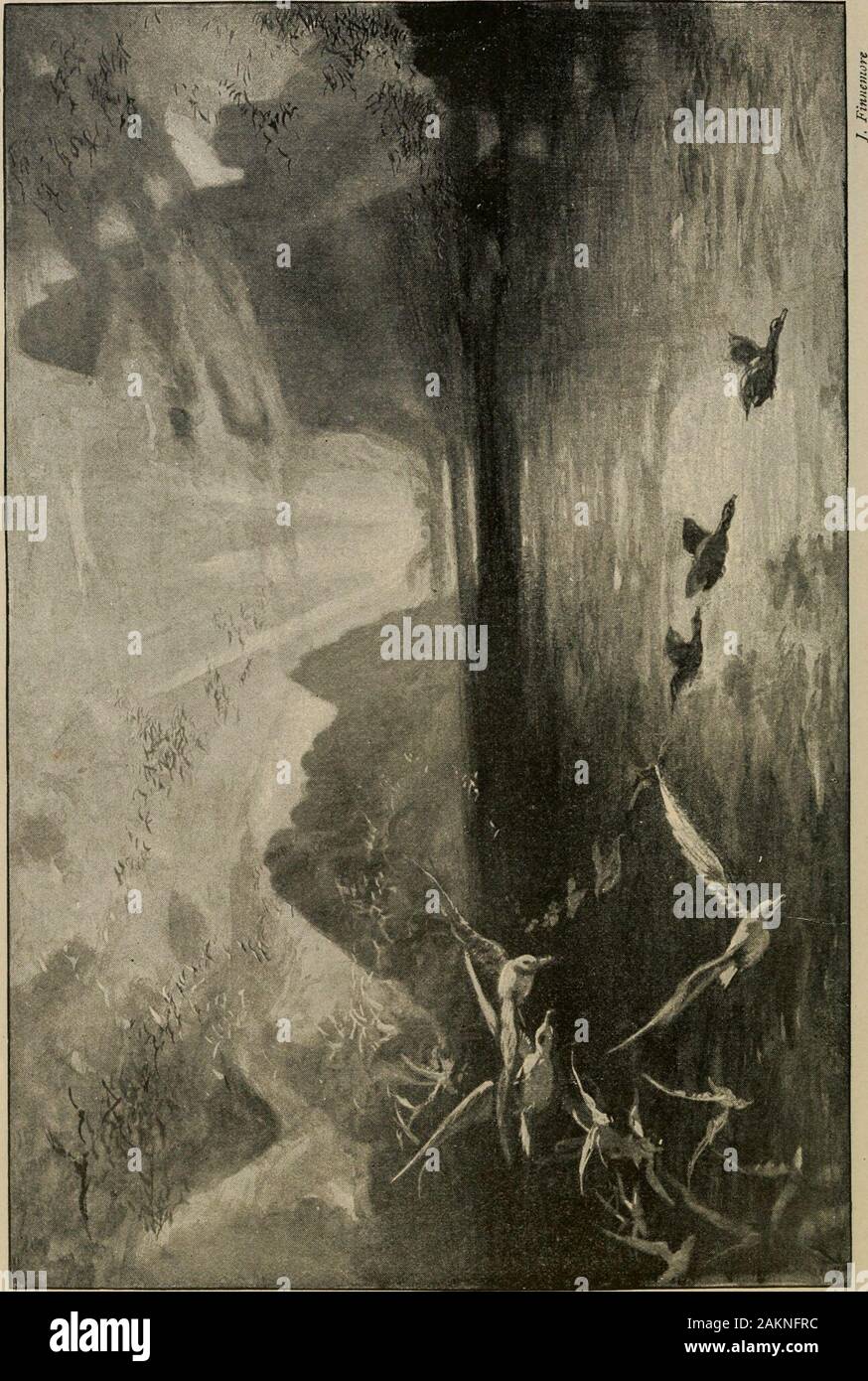 Genesis bible illustrations hi-res stock photography and images - Alamy