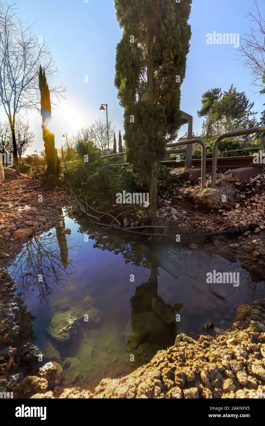 Autumn leaves in puddle water reflection scene Stock Photo - Alamy