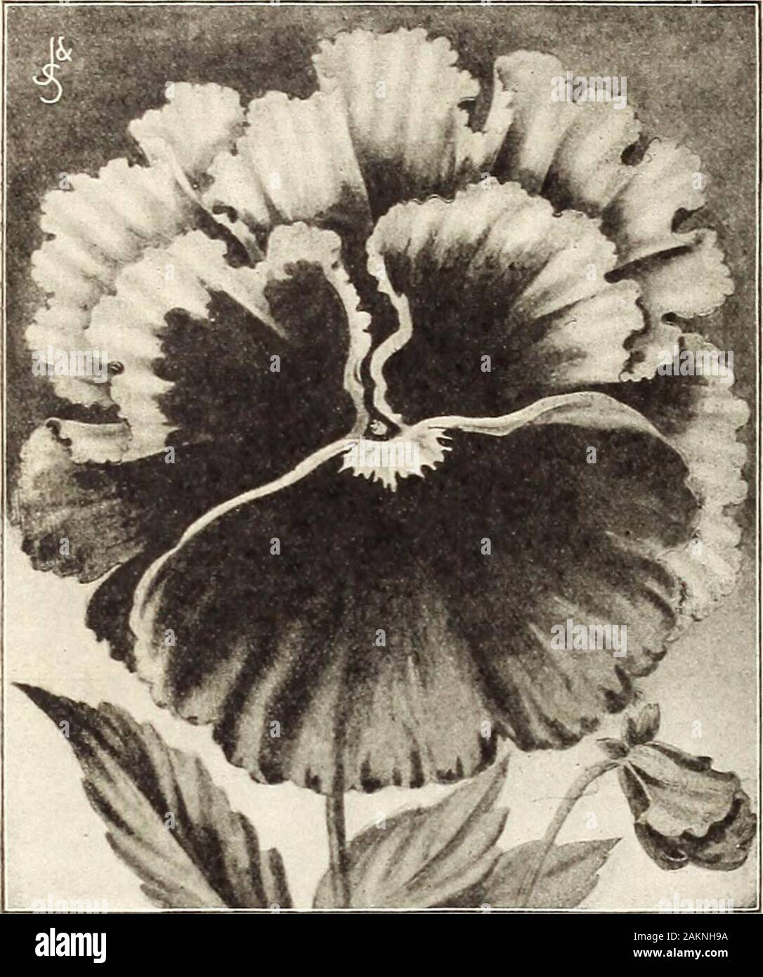 1096 form hi-res stock photography and images - Alamy