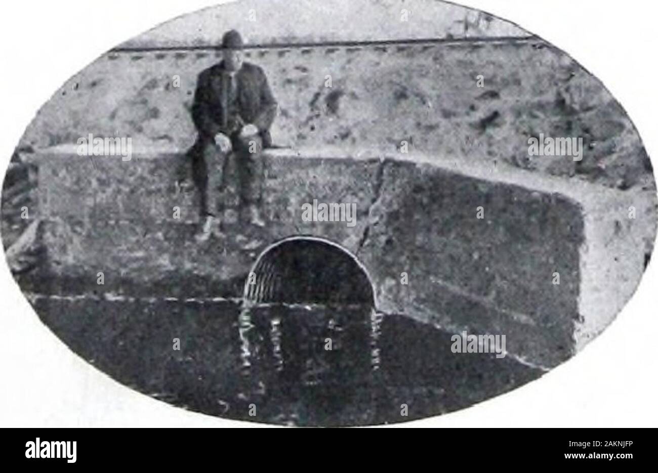 Apollo best bloom and Appollo-keystone copper steel galvanized sheets ...