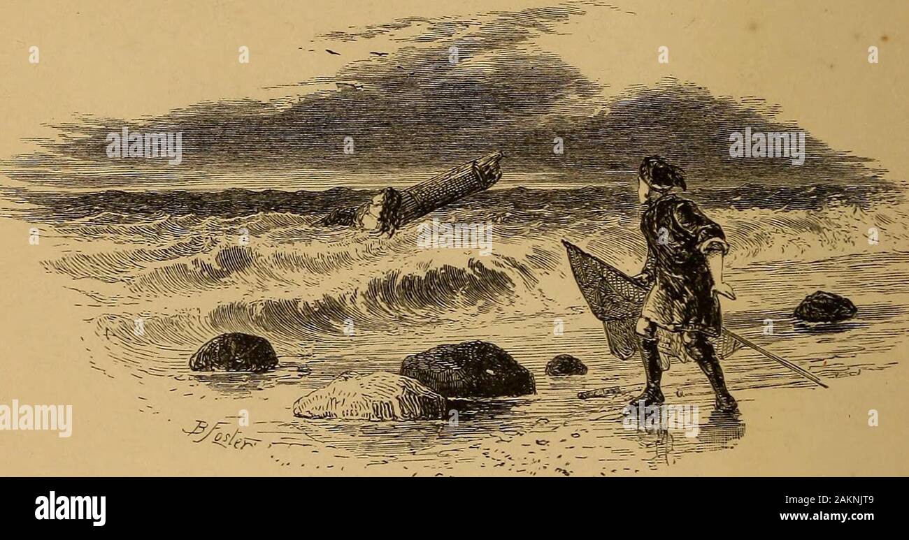 Poems . Normans Woe. And ever the fitful gusts between A sound came ...