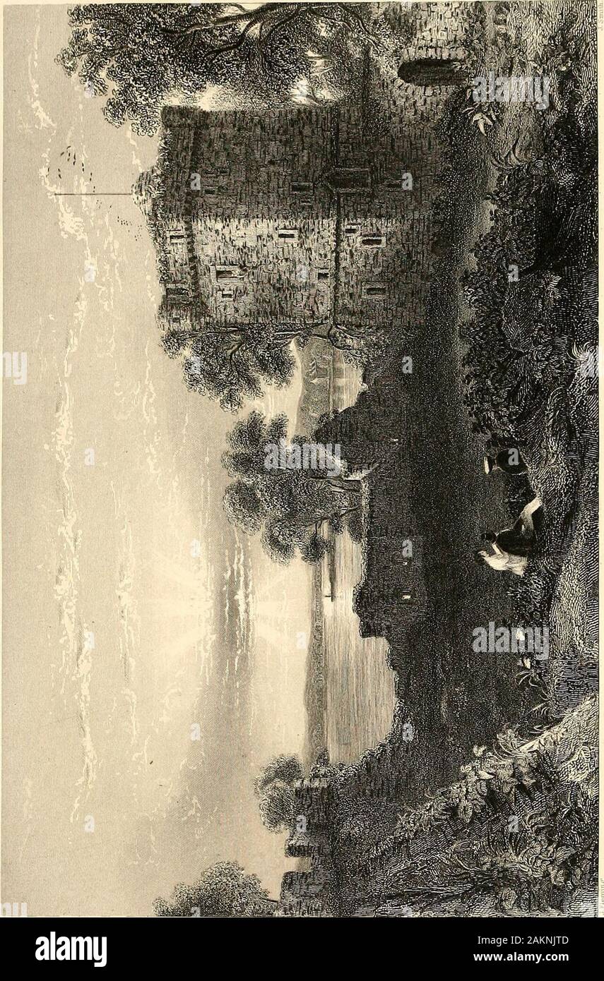 Bookidimperialgaze hi-res stock photography and images - Alamy