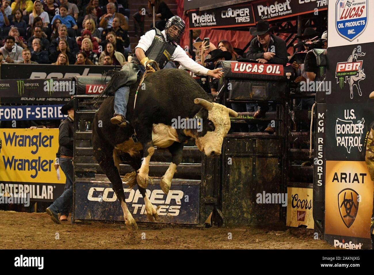 Pbr Bull Riding Wallpaper
