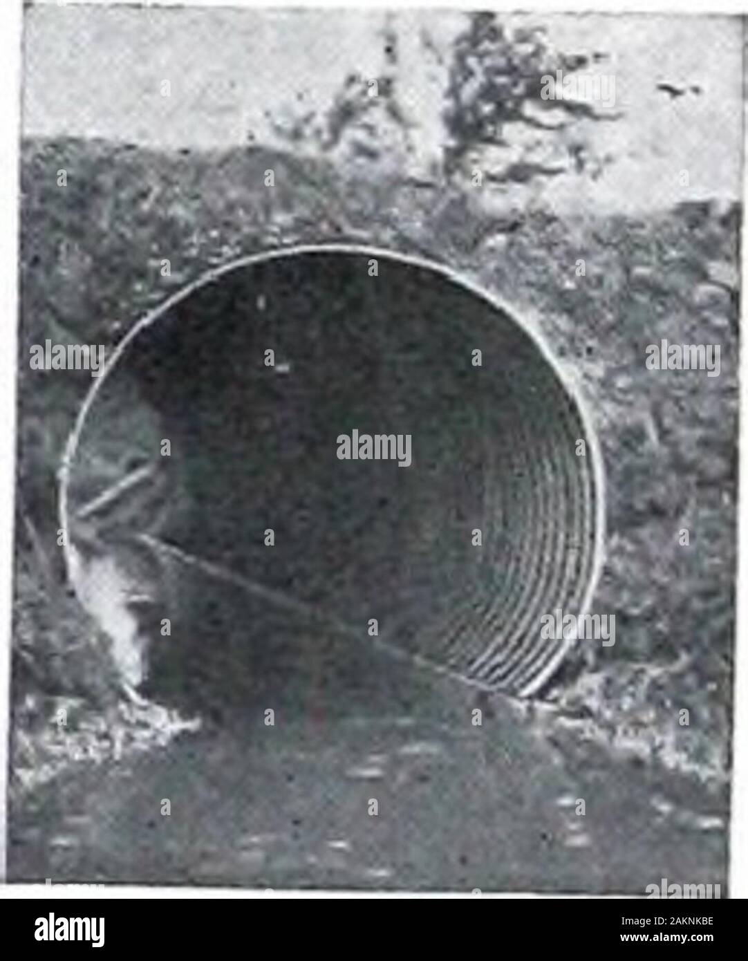 Apollo best bloom and Appollo-keystone copper steel galvanized sheets ...