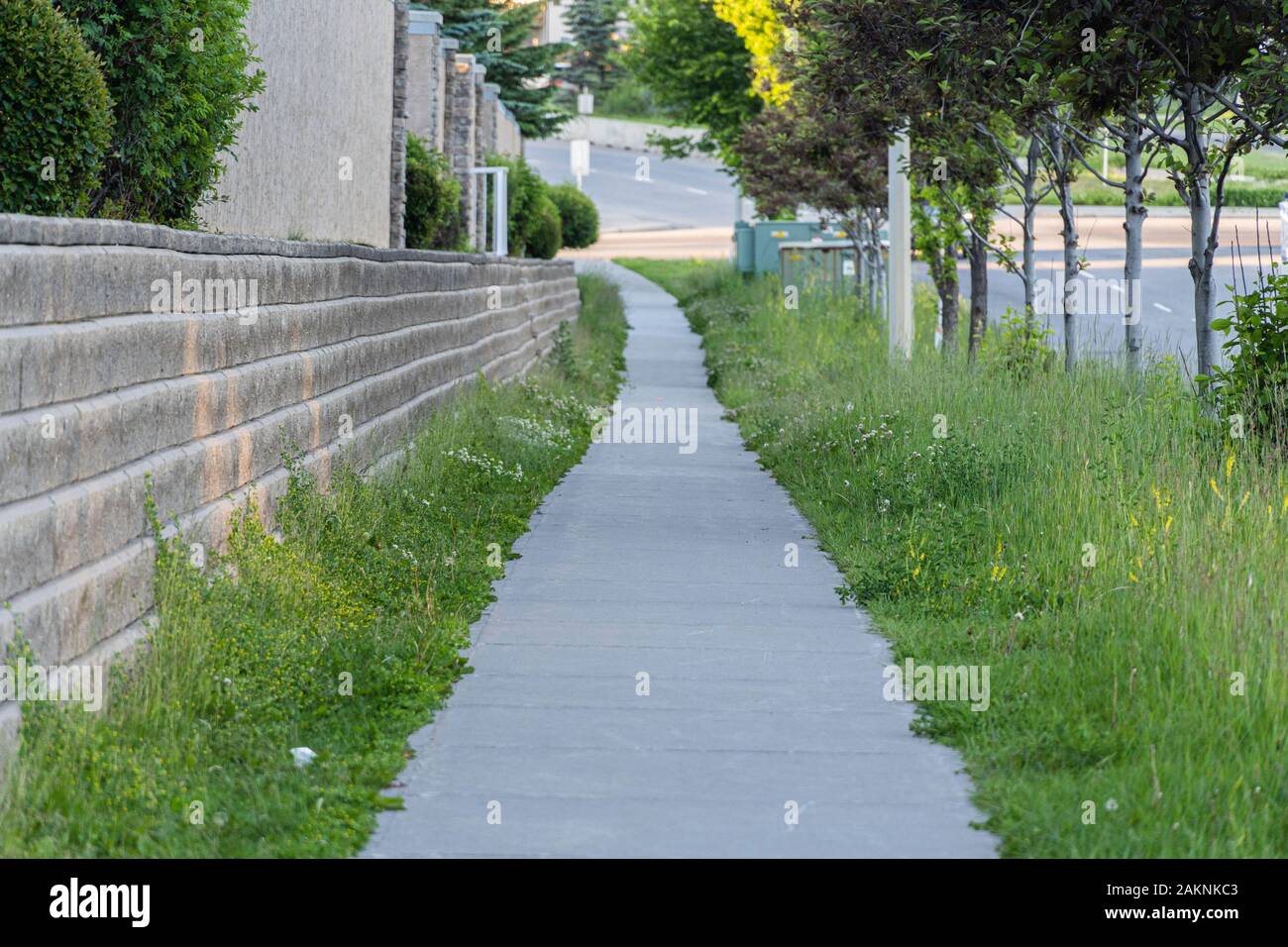 Walkway footpath beside retaining wall in a residential area Stock ...