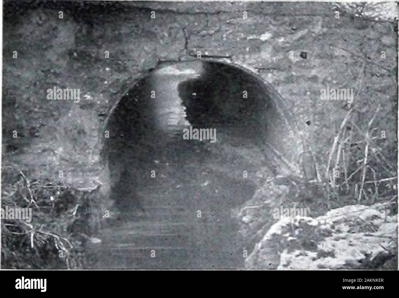 Apollo best bloom and Appollo-keystone copper steel galvanized sheets ...